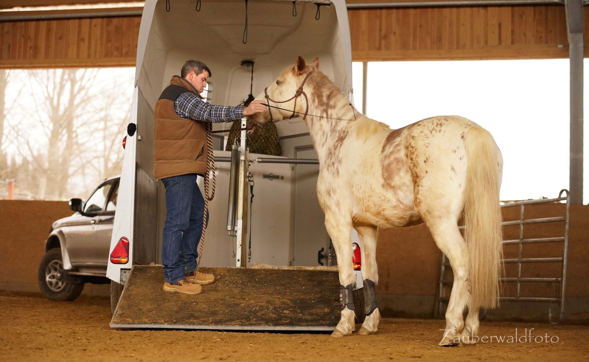 Bernd Hackl: „Einfach“ verladen - Pferde Fit Vital