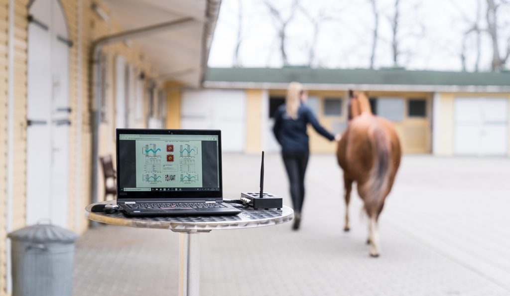 Pergolid › Pferde Fit Vital