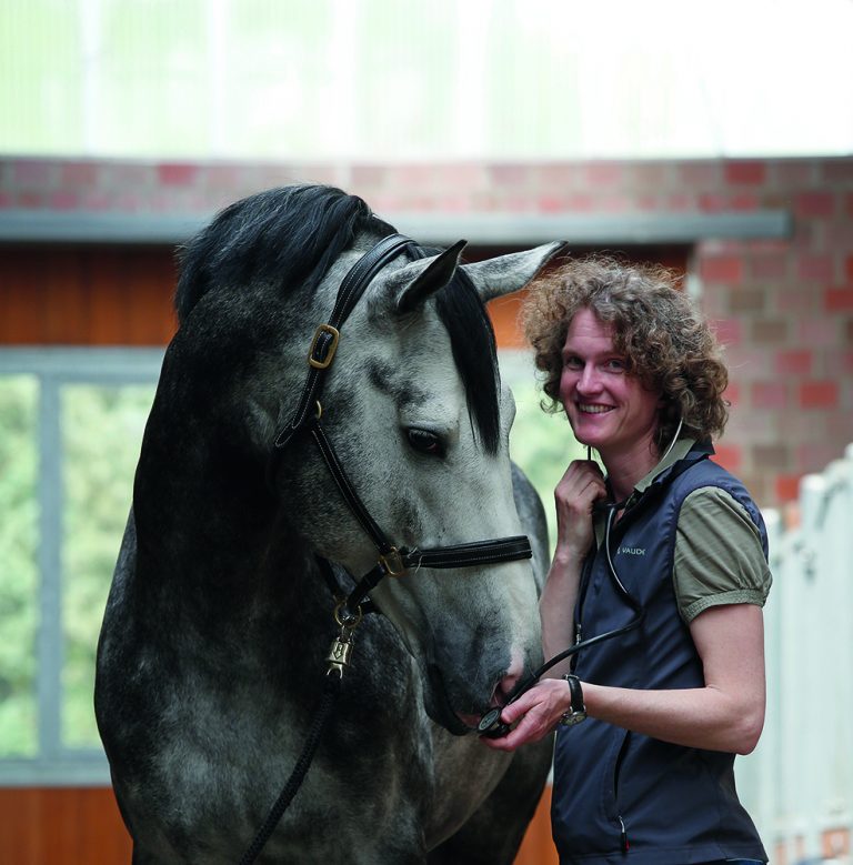 Pergolid › Pferde Fit Vital