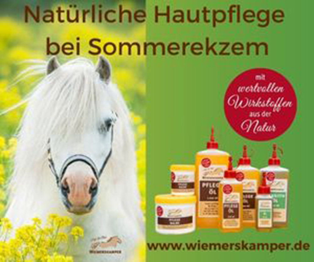 Pergolid - Pferde Fit Vital